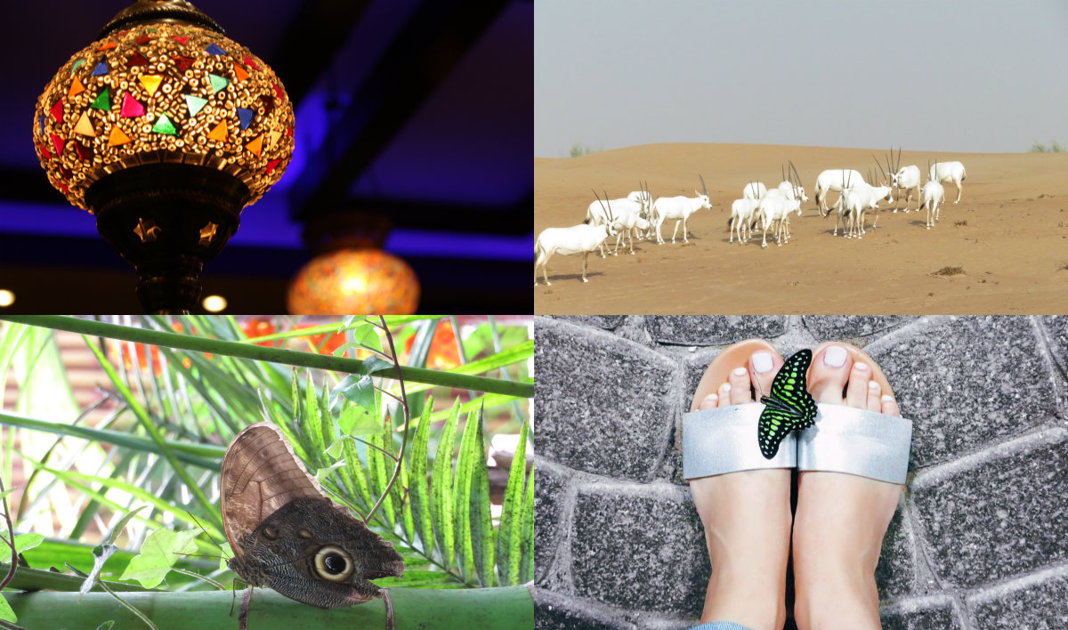Canon Middle East Shows Us a Whole New Dubai We've Never Seen Before ...