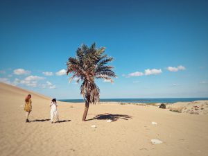 Lake Burullus: Egypt's Must-Visit Destination You Haven't Heard Of ...