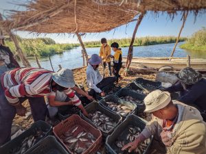 Lake Burullus: Egypt's Must-Visit Destination You Haven't Heard Of ...