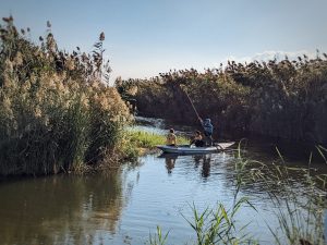 Lake Burullus: Egypt's Must-Visit Destination You Haven't Heard Of ...
