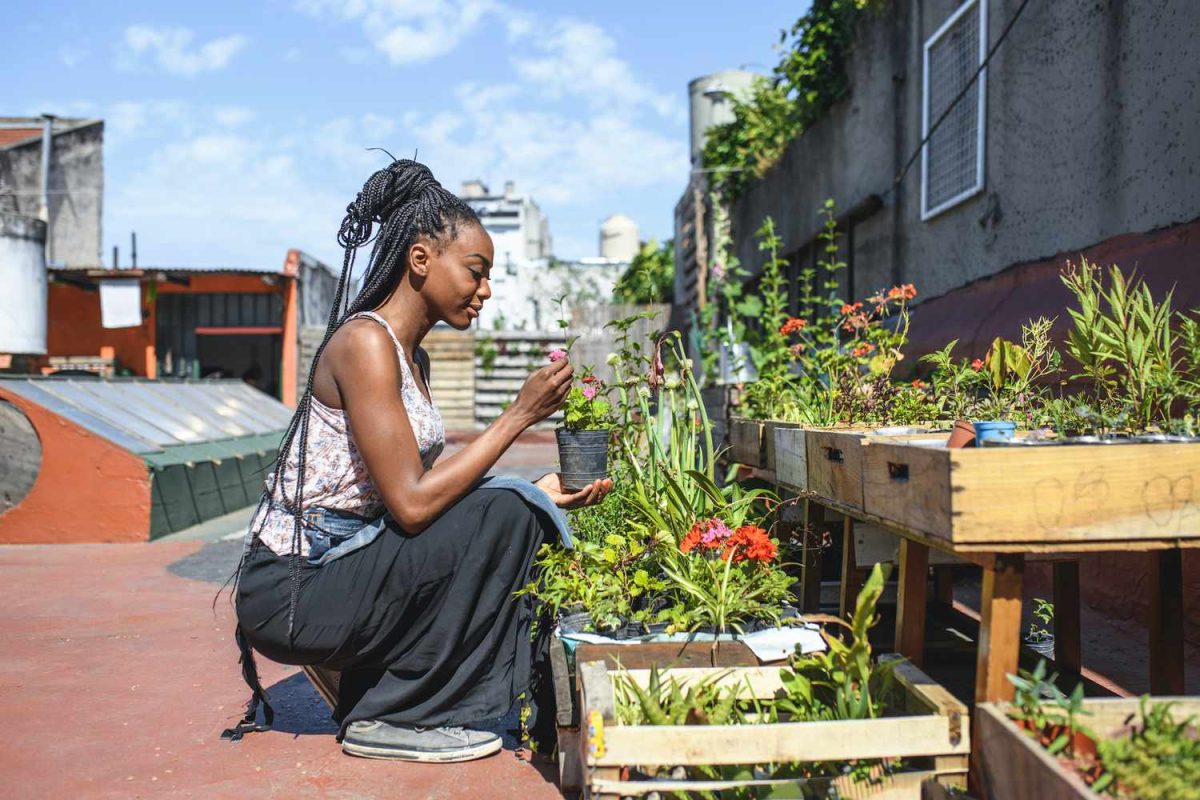 Why Growing Your Own Food Has Become Something of an Urban Status ...